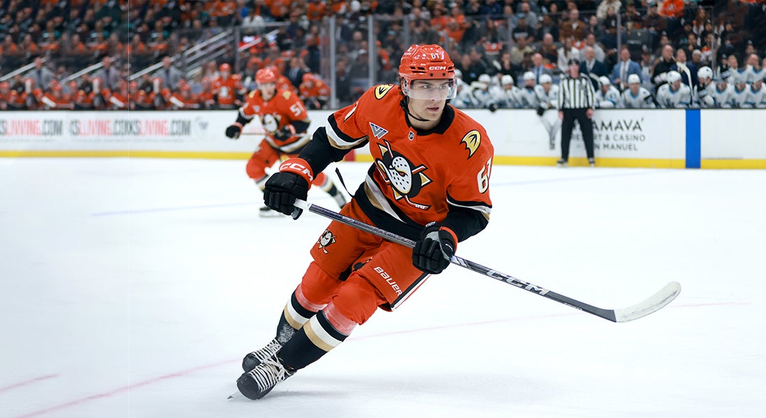 Cutter Gauthier - Inline Warehouse